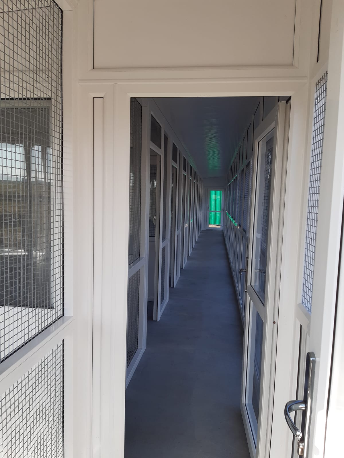 Rowan Tree Cattery – Quality Cat Care