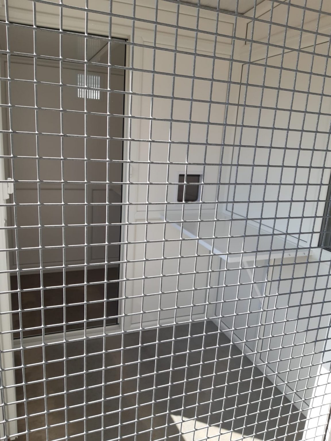 Rowan Tree Cattery – Quality Cat Care