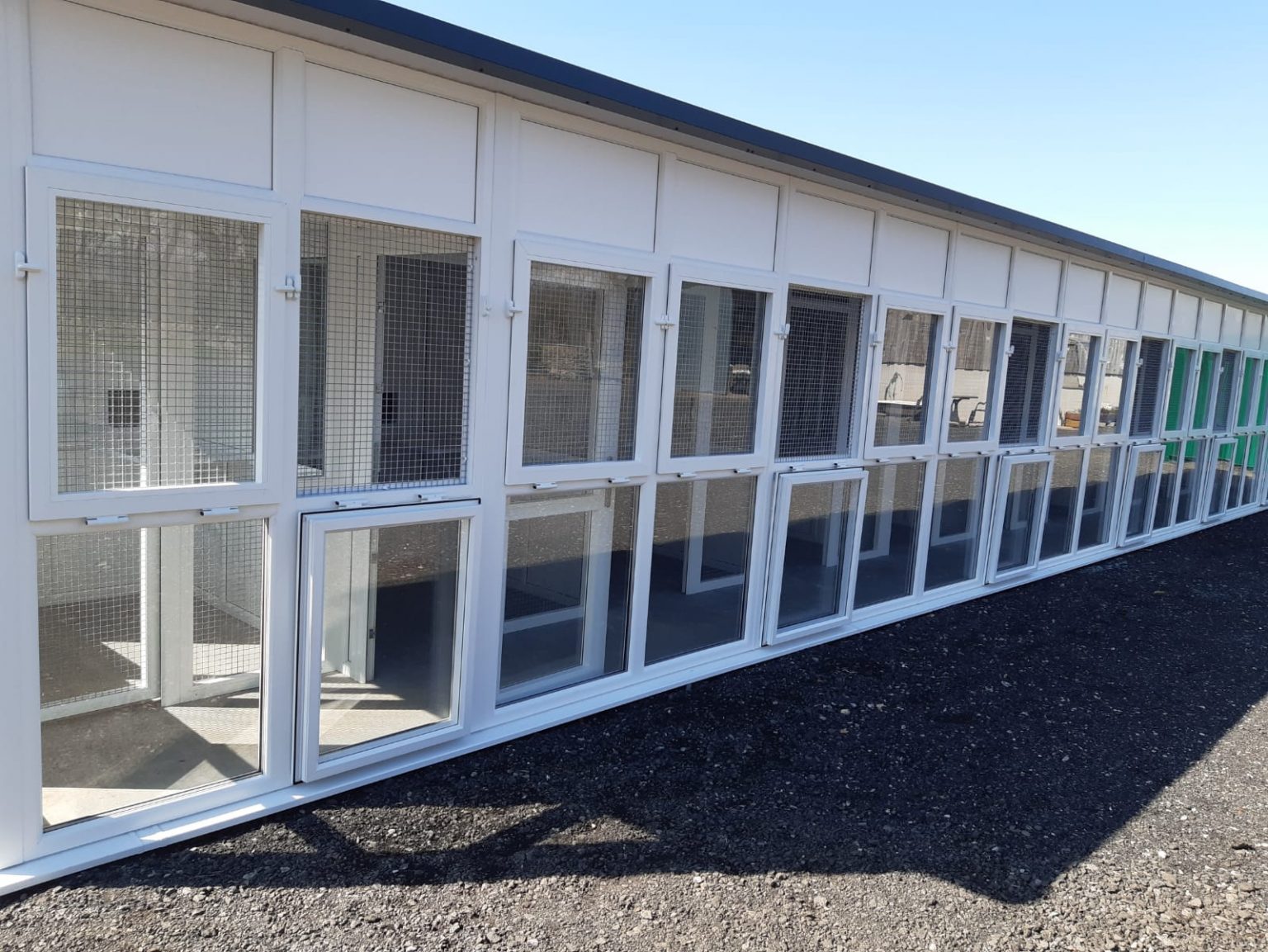 Rowan Tree Cattery – Quality Cat Care