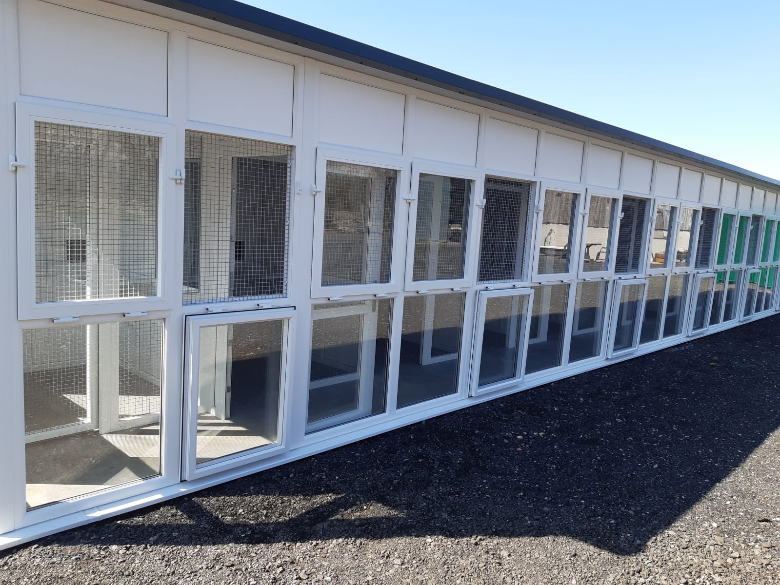 Rowan Tree Cattery – Quality Cat Care